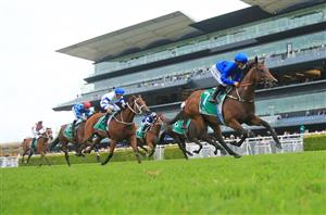 Sports Betting Tips, Bookmaker Reviews, Odds & Sports News - bets.com.au