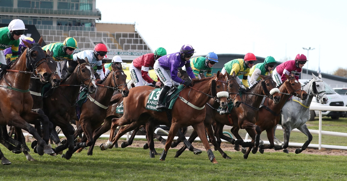 Grand National 2022 Trends | Key stats and top performers