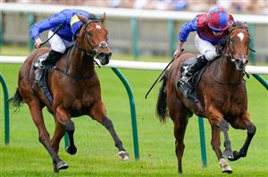 South African Racing Tips | Free Expert Tips | RacingInsider.com