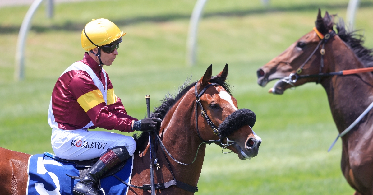 Big Saturday Bets For June 11 big-saturday-bets-for-june-11