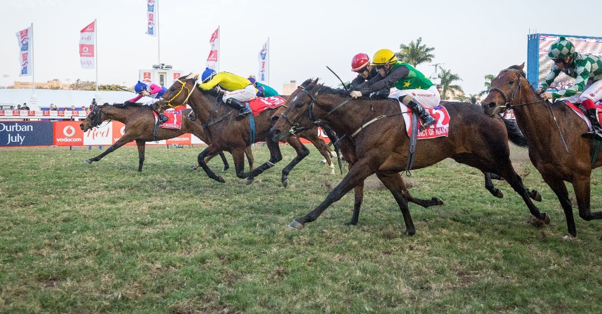 Greyville Tips on June 6th | Best Bets and Predictions on Gold ...