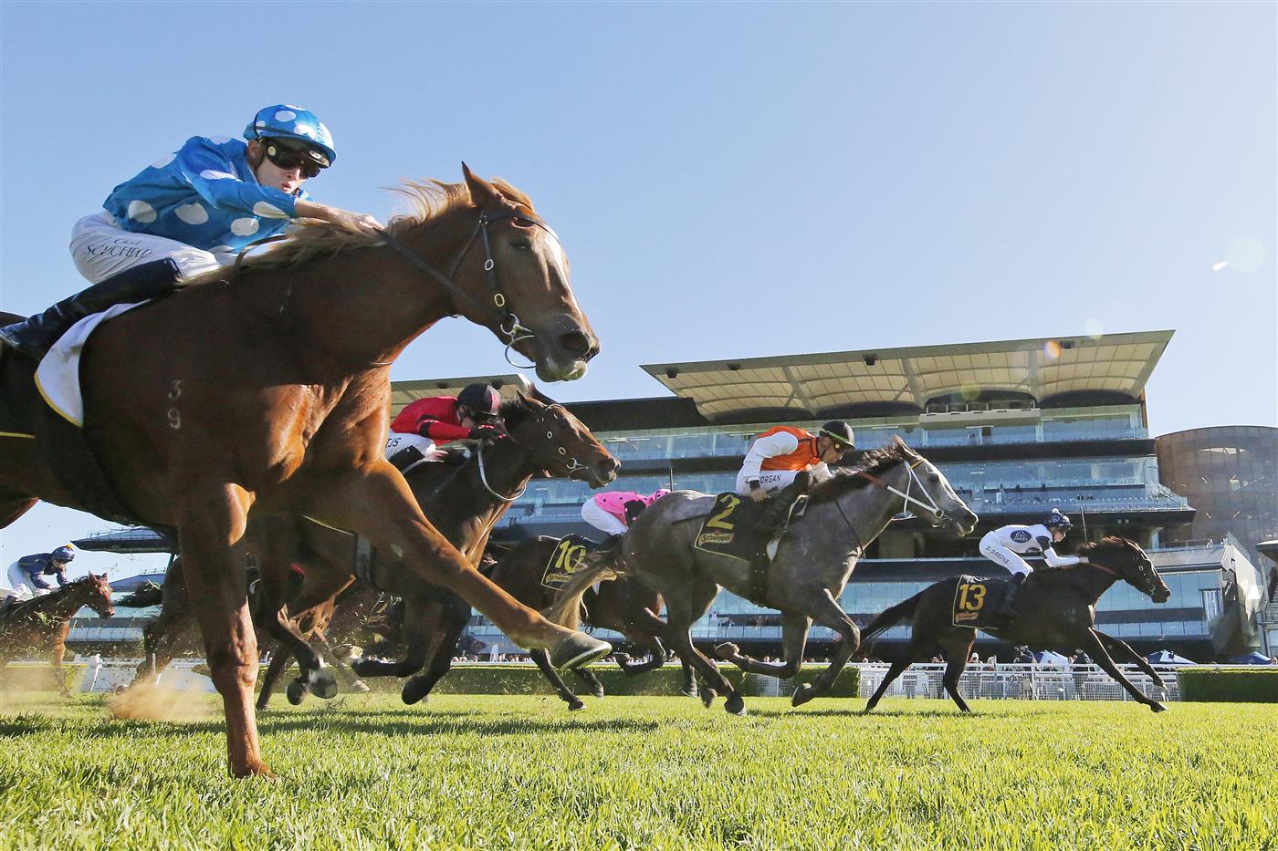 Randwick Highlights - June 11