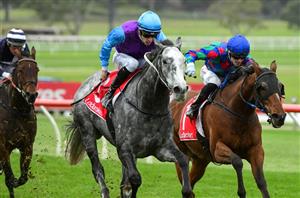 Big Bets | Who the big punters are backing with weekend betting from ...