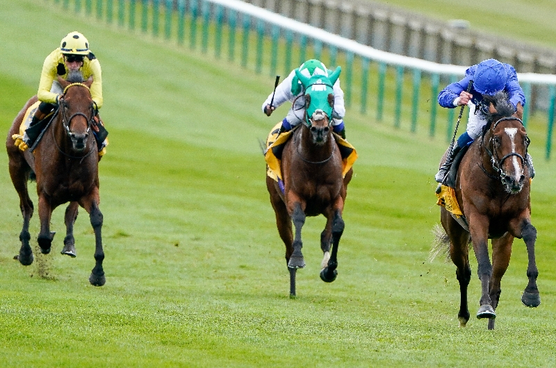 USA Racing Tips | Free Expert Tips | RacingInsider.com
