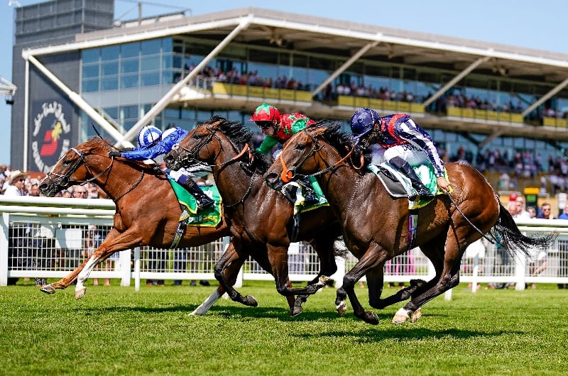 UK Racing Tips | Free Expert Tips | RacingInsider.com