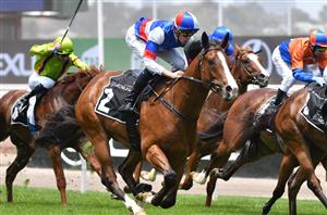 Big Bets | Who the big punters are backing with weekend betting from ...