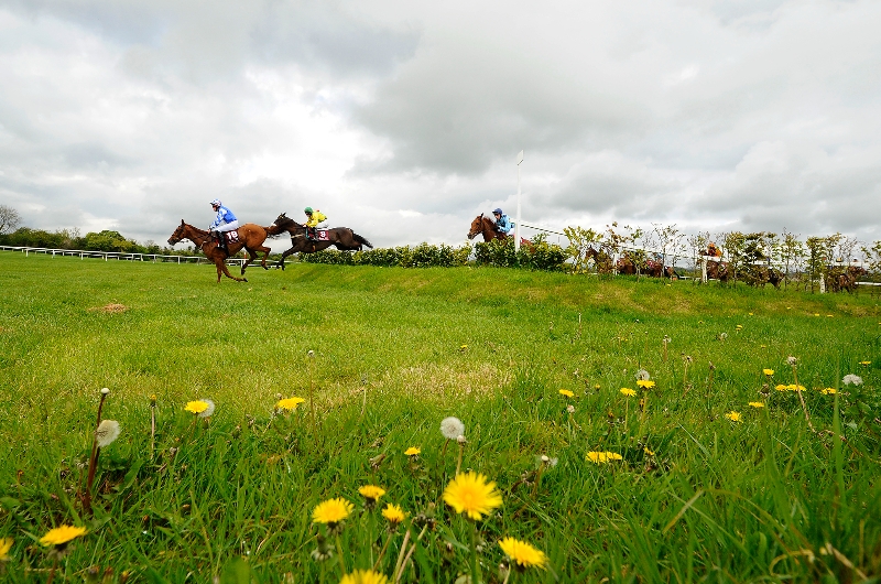 Irish Racing Tips | Free Expert Tips | RacingInsider.com