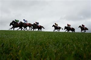 Irish Racing Tips | Free Expert Tips | RacingInsider.com