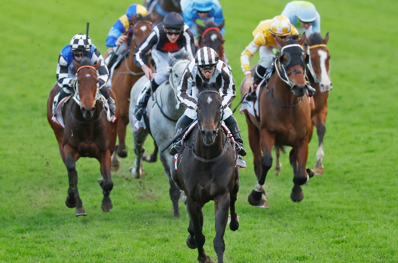 Big Bets | Who the big punters are backing with weekend betting from ...