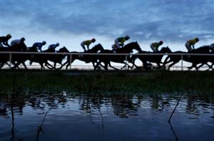 Irish Racing Tips | Free Expert Tips | RacingInsider.com