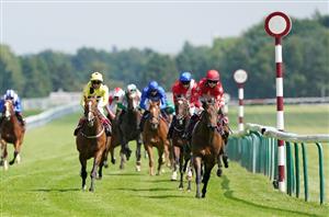 UK Racing Tips | Free Expert Tips | RacingInsider.com
