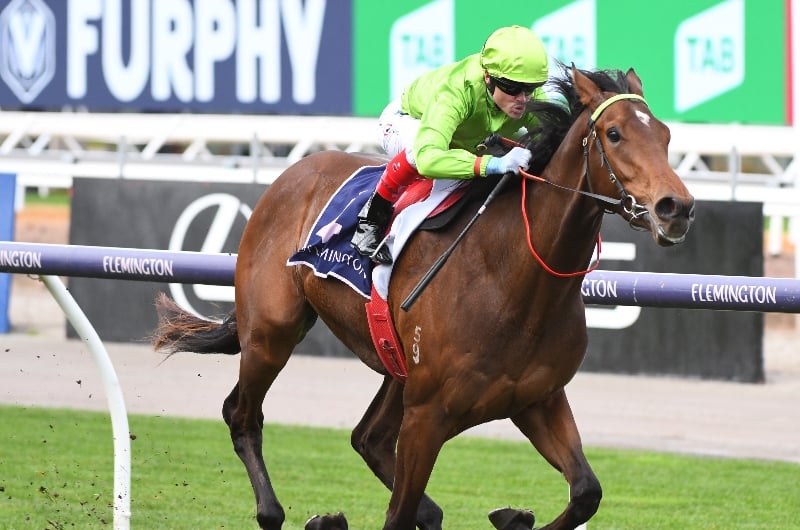 Big Bets | Who the big punters are backing with weekend betting from ...