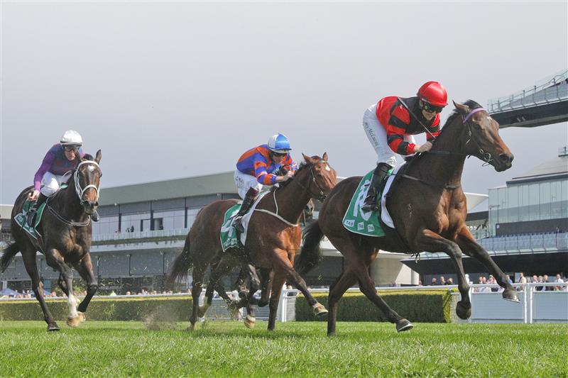 Randwick Highlights - August 20, 2022