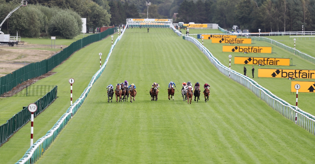 2022 Sprint Cup Odds, Entries and Runners