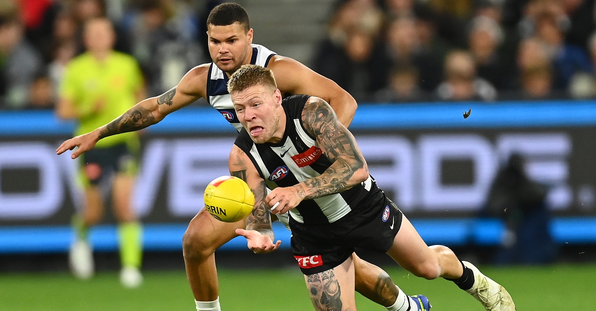 Geelong Cats Vs Collingwood Tips Preview And Live Stream