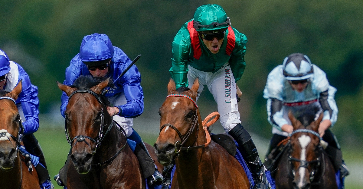 Racing News | Vadeni to run in the 2022 Prix de l'Arc de Triomphe