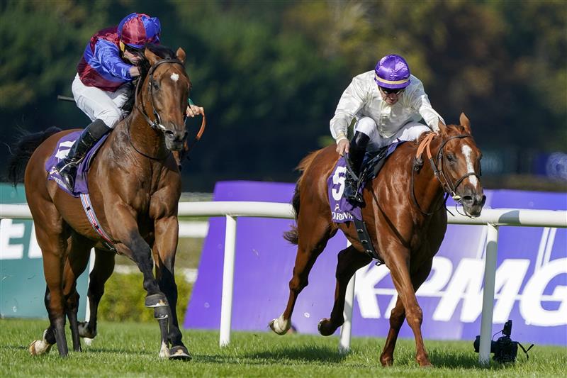 Racing Photos | Irish Champions Weekend Day One Leopardstown [Pictures and Results]
