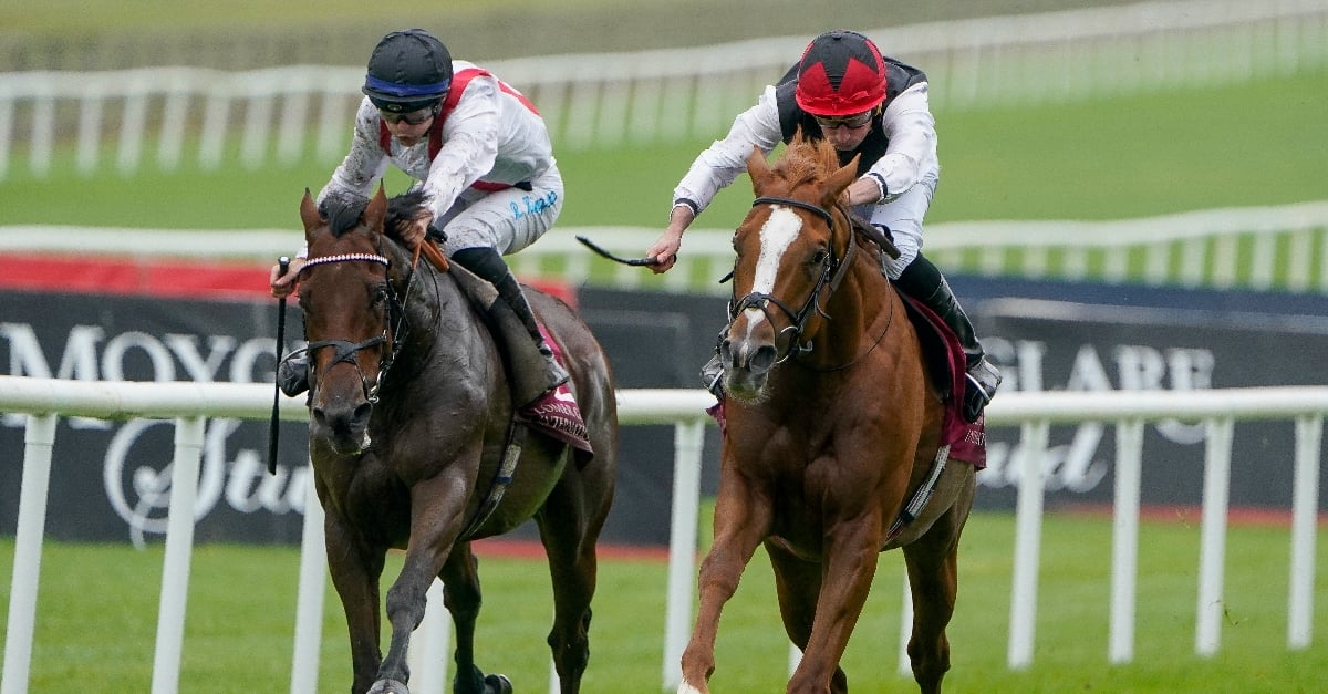 Racing Photos | Irish Champions Weekend Day Two Curragh [Pictures and ...