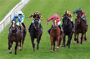 Big Bets | Who the big punters are backing with weekend betting from ...