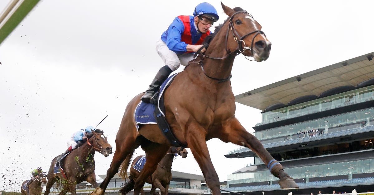 George Main Stakes 2022 Barriers & Final Field