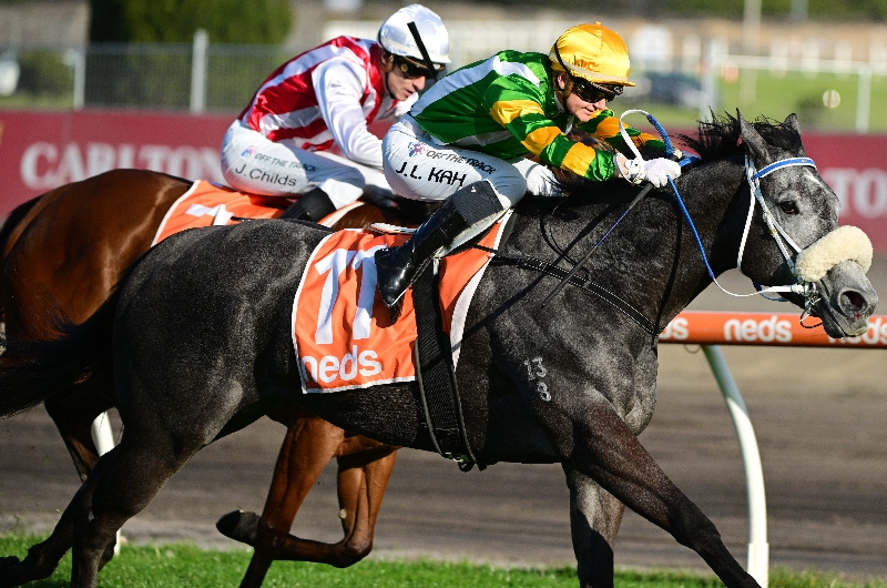 Weekend Racing Multibet - Turn $10 into $1900 Weekend Racing Multibet - Turn $10 into $1900