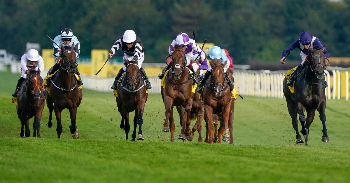 Newspaper racing tips for today | ITV Racing Tips on September 17
