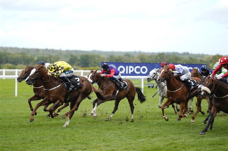 Racing Photos | Ascot races October 1 [Pictures and Results]