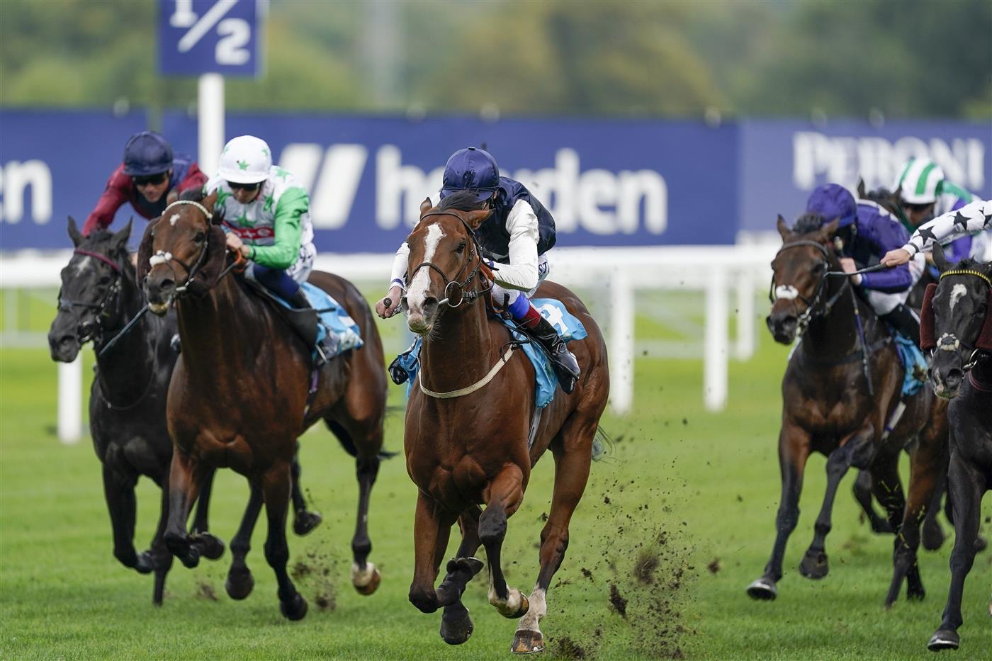 Racing Photos | Ascot races October 1 [Pictures and Results]