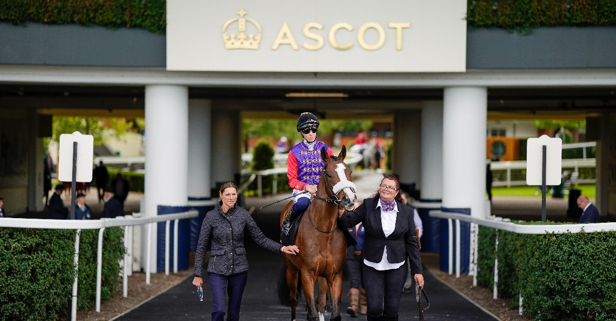 Racing Photos | Ascot races October 1 [Pictures and Results]