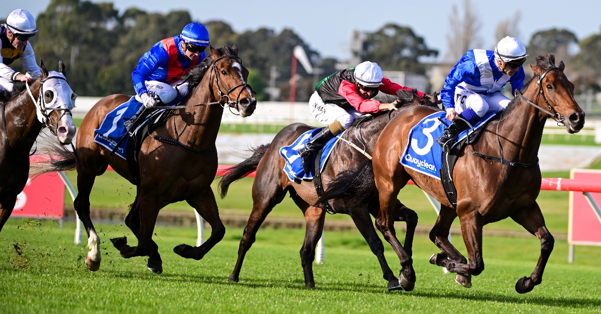 Might And Power 2022 Barrier Draw - Might And Power 2022 Final Field