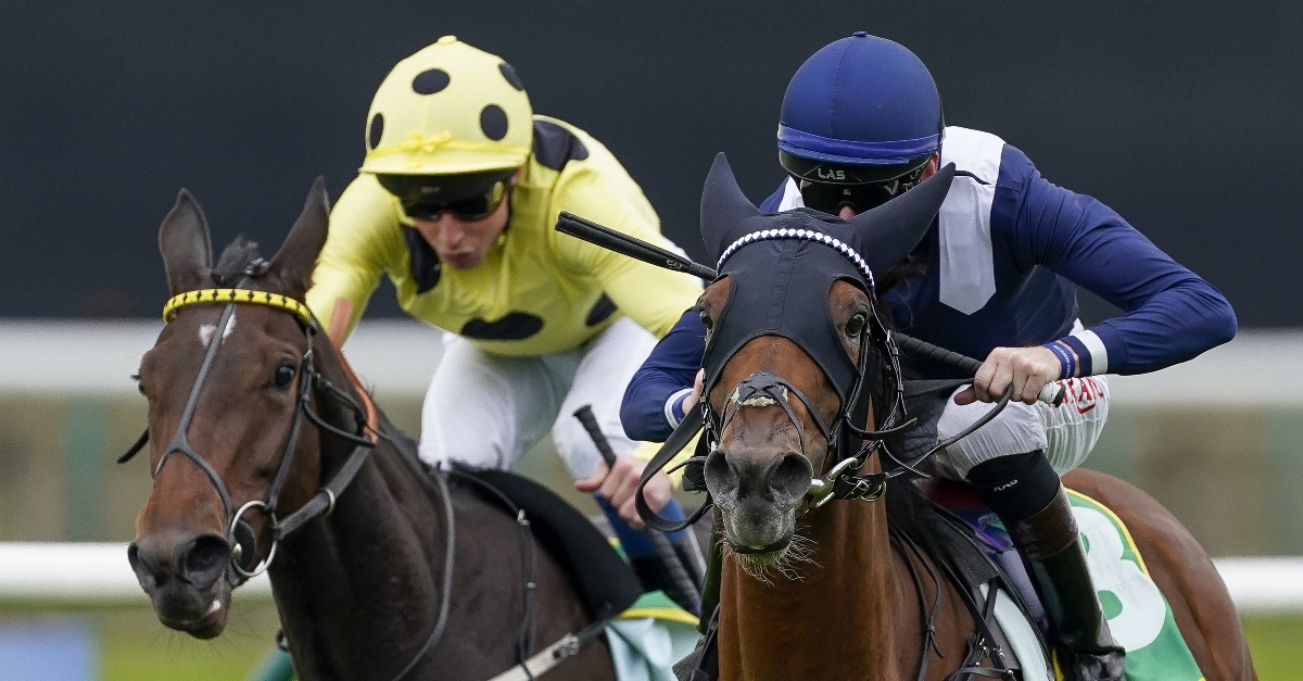 Racing Photos | Newmarket races October 7th [Pictures and Results]