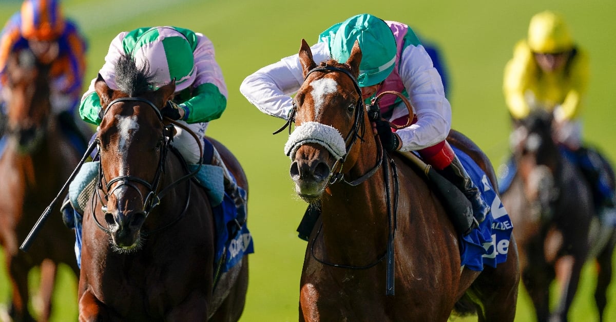 Racing Photos | Newmarket races October 8th [Pictures and Results]