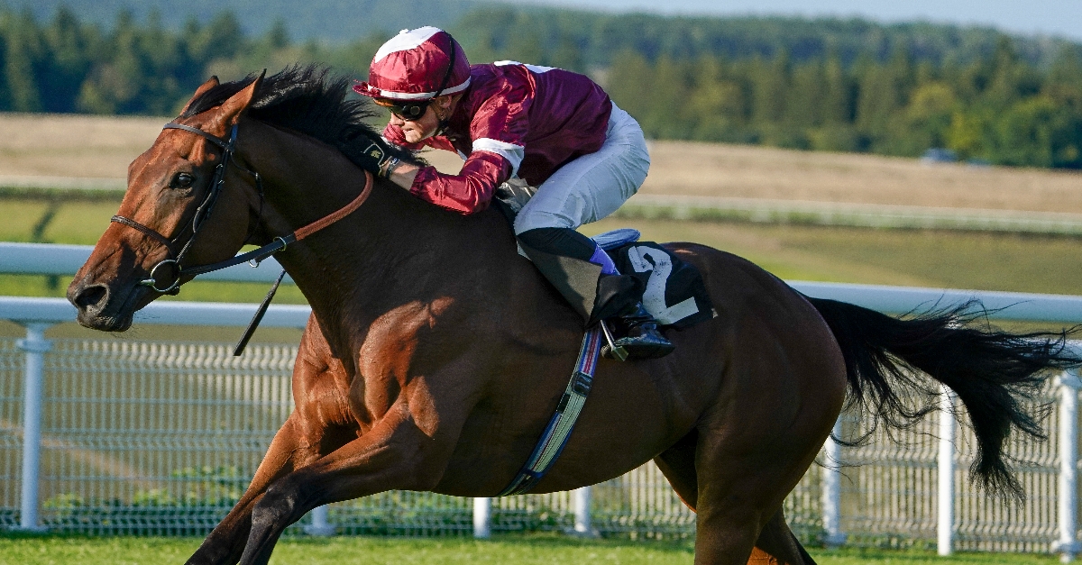 Follow The Money | 2022 Cesarewitch Market Movers October 8