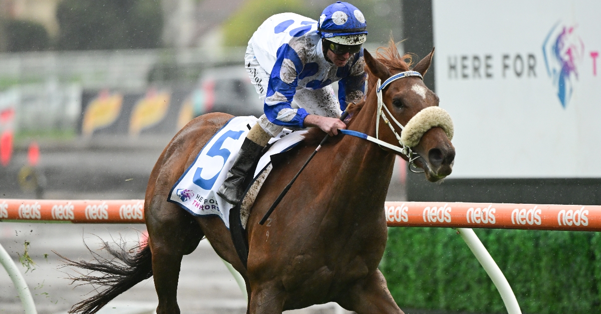 Thousand Guineas 2022 Barrier Draw - Thousand Guineas 2022 Final Field