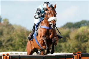 Irish Racing Tips | Free Expert Tips | RacingInsider.com