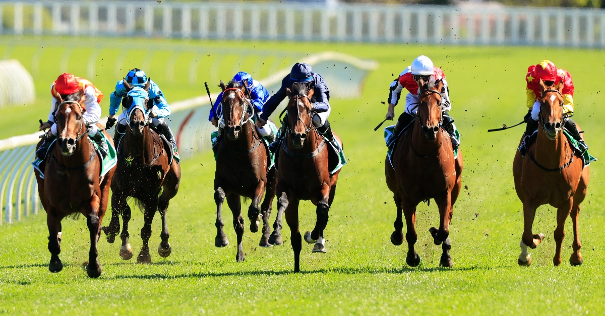 Randwick Racing Tips, Best Bets & Odds | Today's Betting Tips for ...