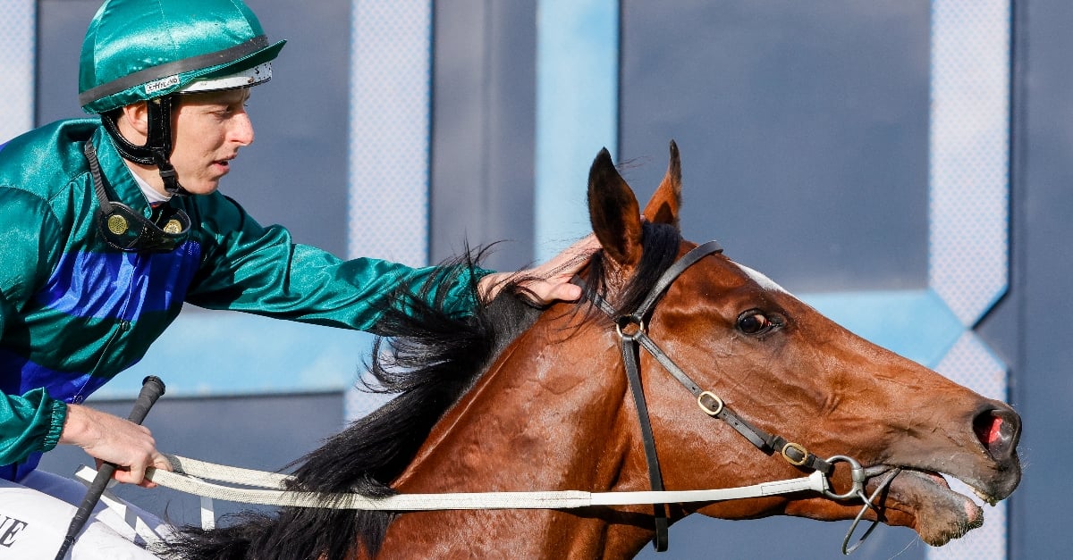 Coolmore Stud Stakes 2022 Barrier Draw - Coolmore Stud Stakes 2022 ...