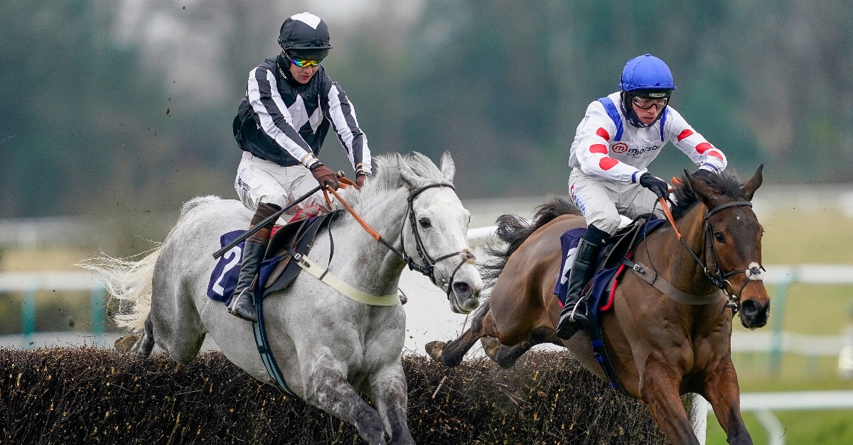 2022 Haldon Gold Cup Tips | Exeter tips on November 4th