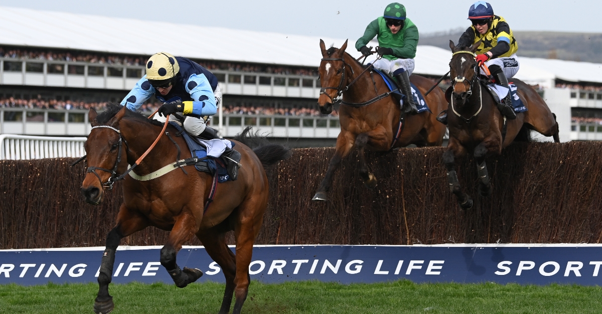 2022 Shloer Chase Odds, Entries and Runners