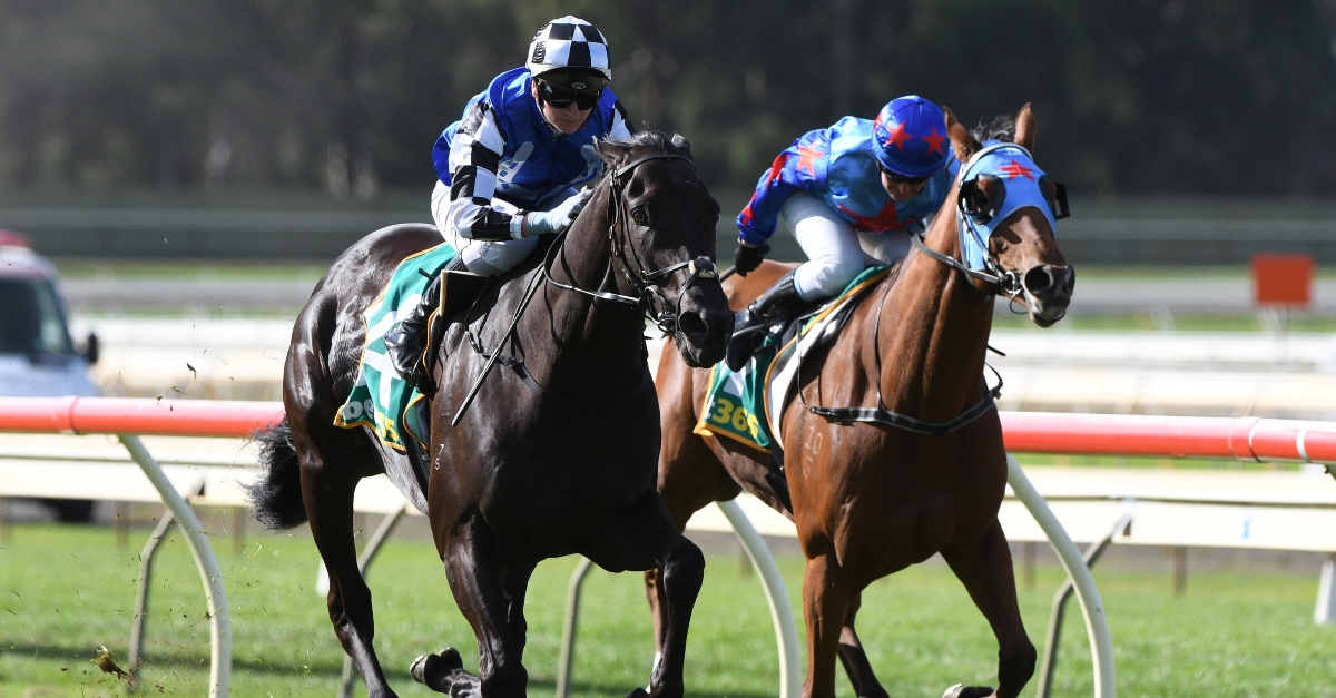 Railway Stakes 2022 Barrier Draw - Railway Stakes 2022 Final Field
