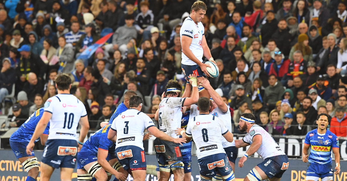Bulls vs Cardiff Tips. Cardiff backed in handicap market against Bulls