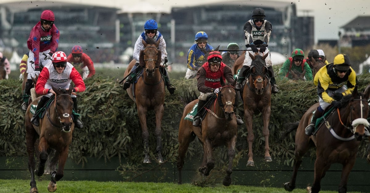 2022 Becher Chase Tips | Odds, trends and tips for Aintree on December 3