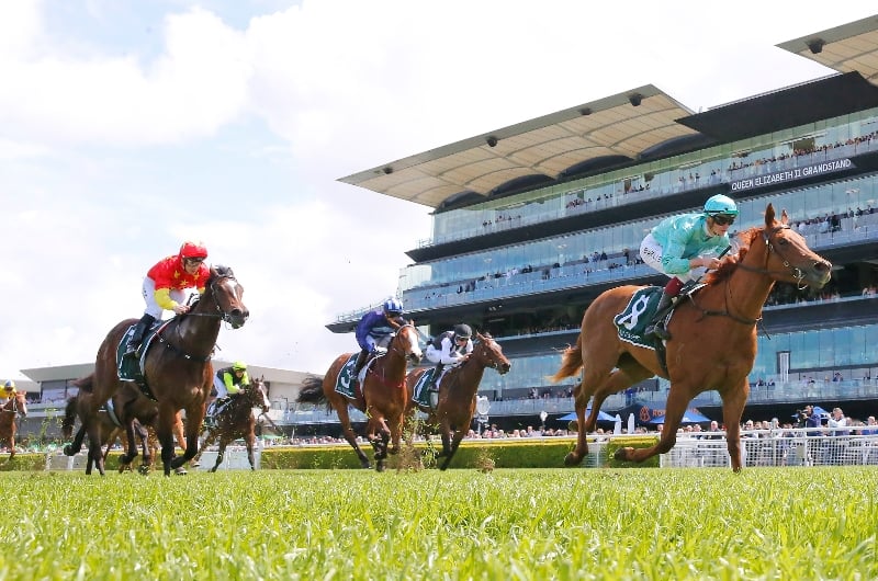 Magic Millions 2YO Classic 2023 Barrier Draw - Magic Millions 2YO ...