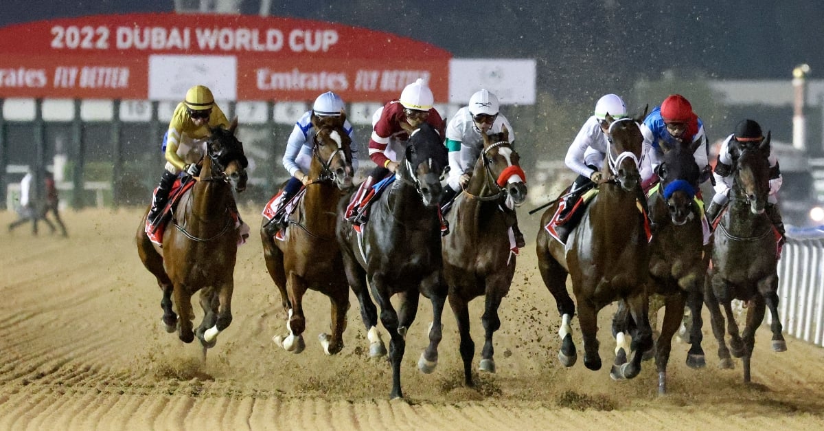 Meydan Tips | Dubai World Cup Carnival Week 2 Tips January 13