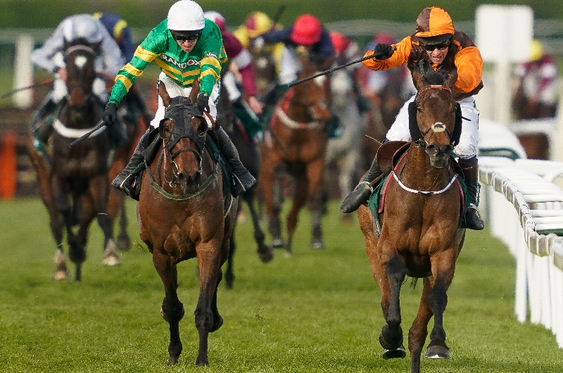 Racing News | Noble Yeats to head to Lingfield before Cheltenham Gold Cup