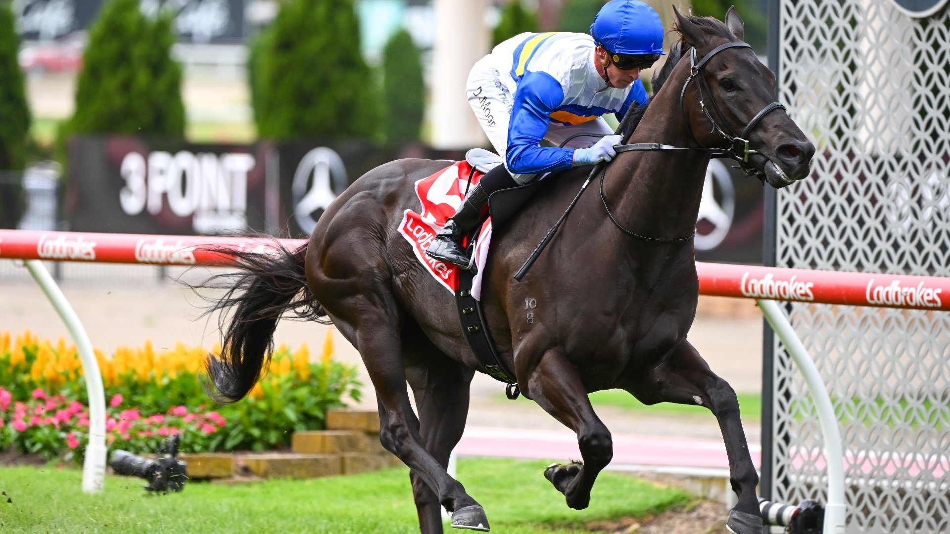 Big Bets Results - Bets.com.au - Big Bets winners, losers and results ...