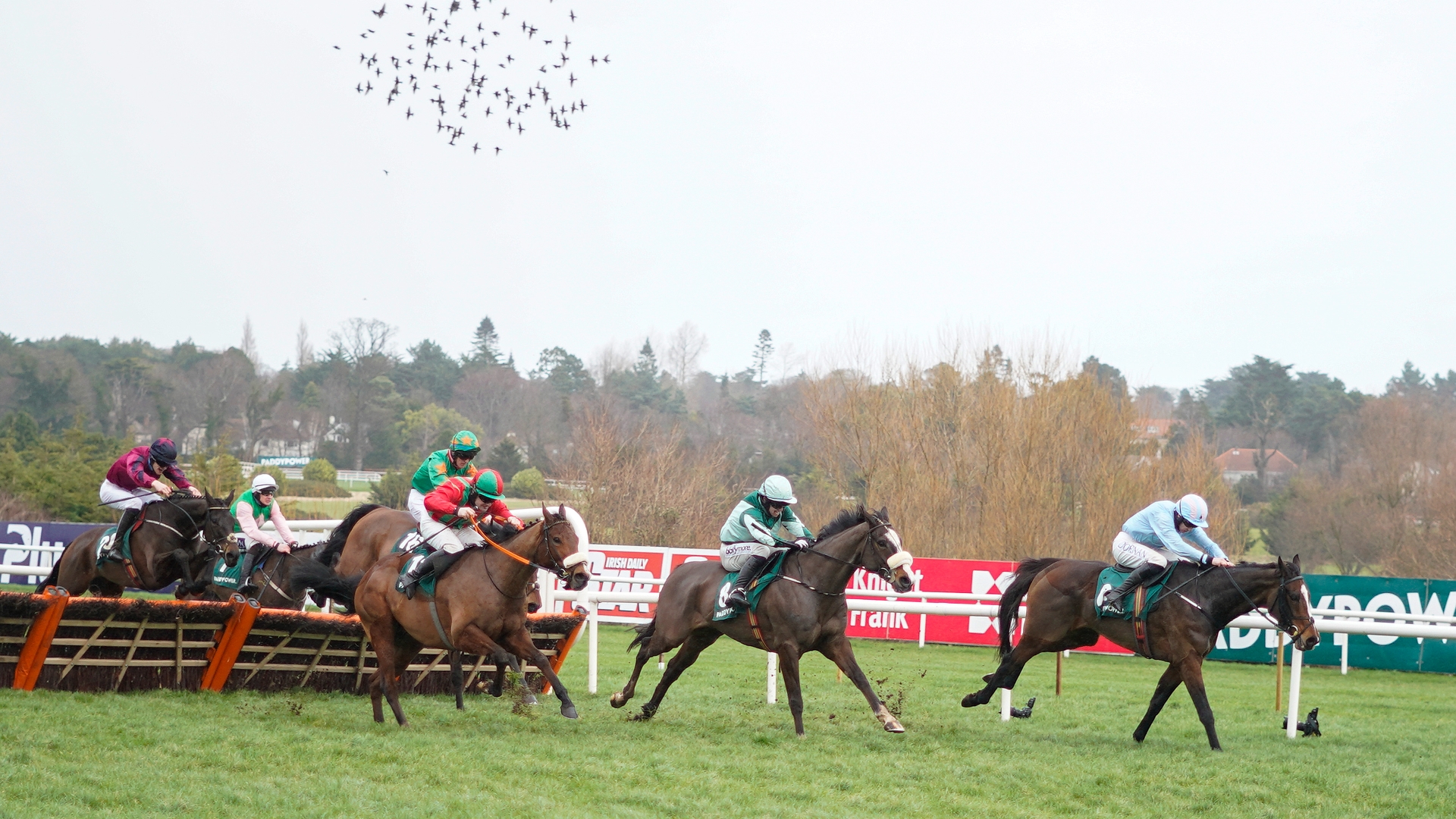 Leopardstown Tips | 2023 Dublin Racing Festival day one tips February 4
