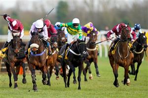 2023 Betfair Hurdle Tips | Odds, trends and predictions Newbury February 11