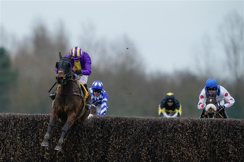 Racing Photos | Newbury races on February 11th [Pictures and Results]