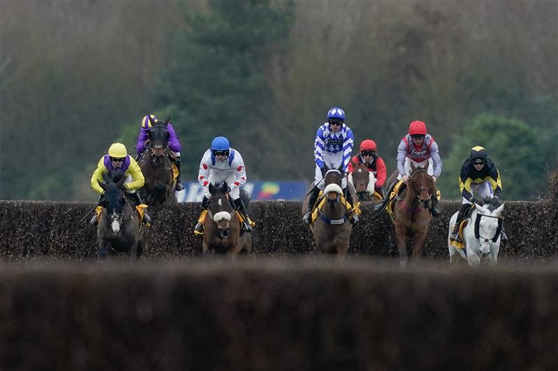 Racing Photos | Newbury races on February 11th [Pictures and Results]